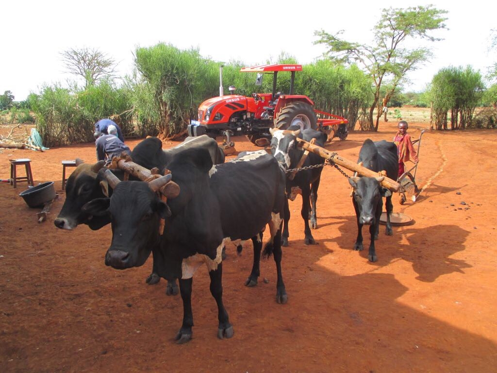 URSUS dostarczy ciągniki, maszyny rolnicze i części do Zambii w Afryce